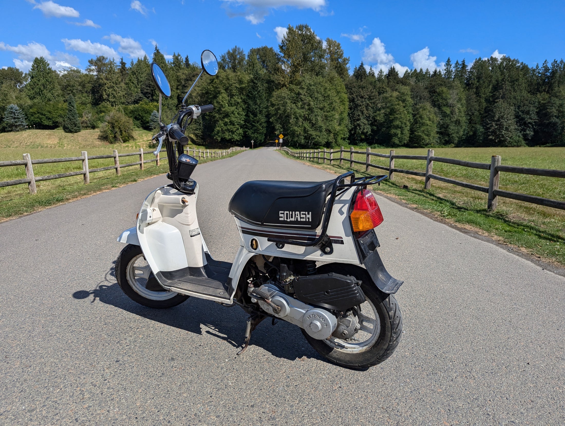 1982 Honda Squash – Nezumi Racing