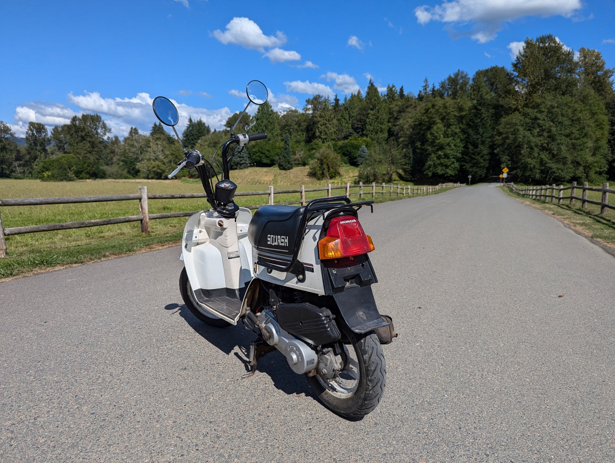 1982 Honda Squash – Nezumi Racing