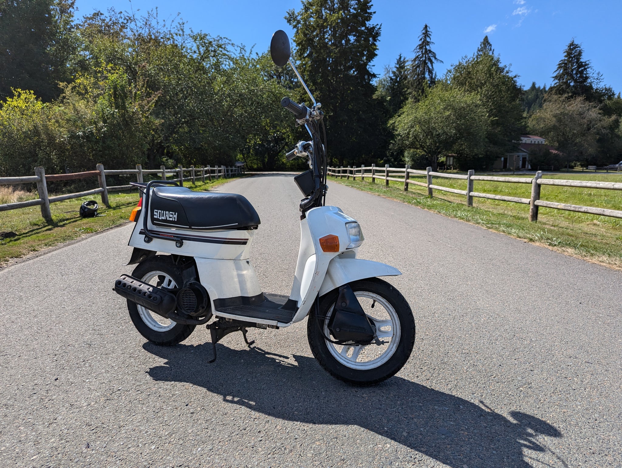 1982 Honda Squash – Nezumi Racing